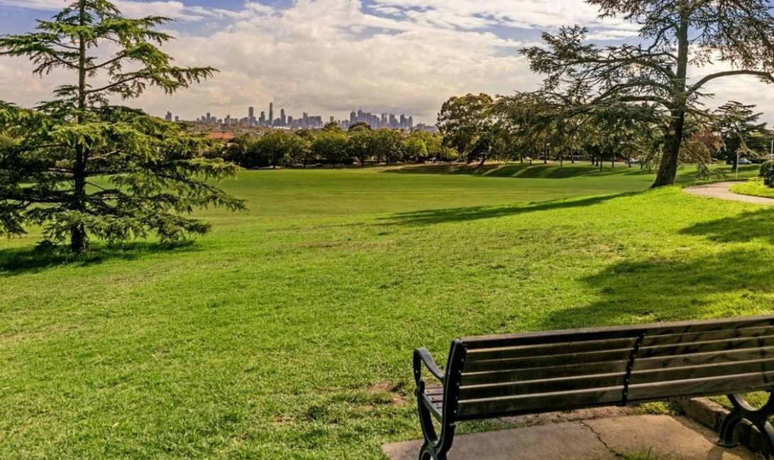 Hawthorn East Suburb Profile - Noel Jones